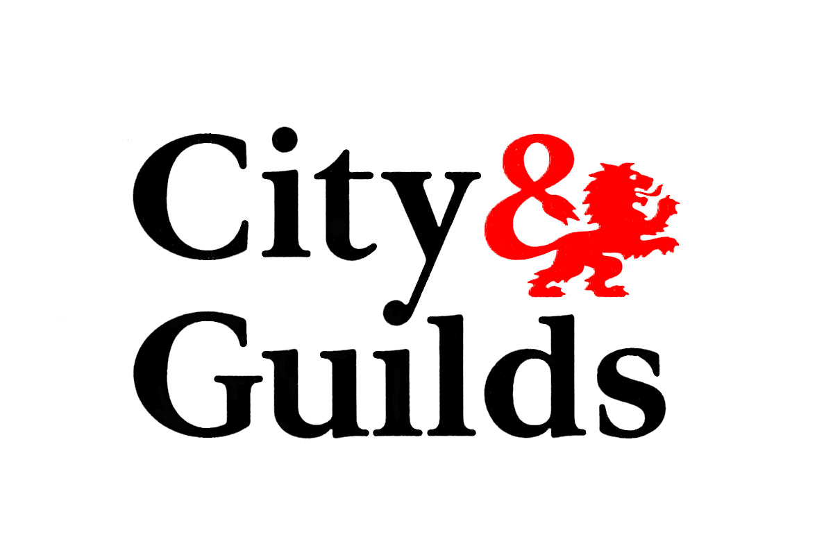 City And Guilds Inspiring The Future city-and-guilds-inspiring-the-future